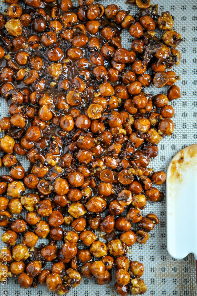 Hazelnut Cacao Nibs Praline Paste - I Sugar Coat It
